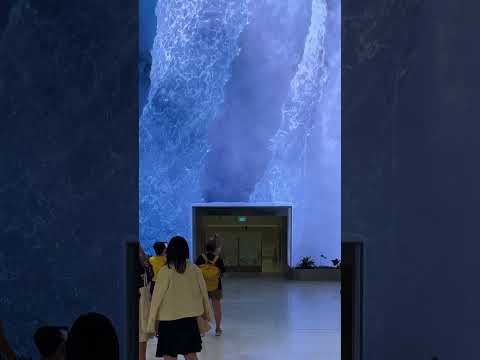 Wonderfall