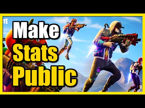 How to Make Stats Public in Fortnite OG (Fortnite Tracker Stats Not Showing)
