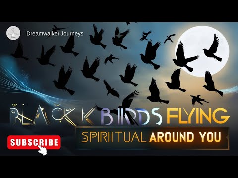 Spiritual Meaning of Black Birds Flying Around You | Messages and Symbolism Explained