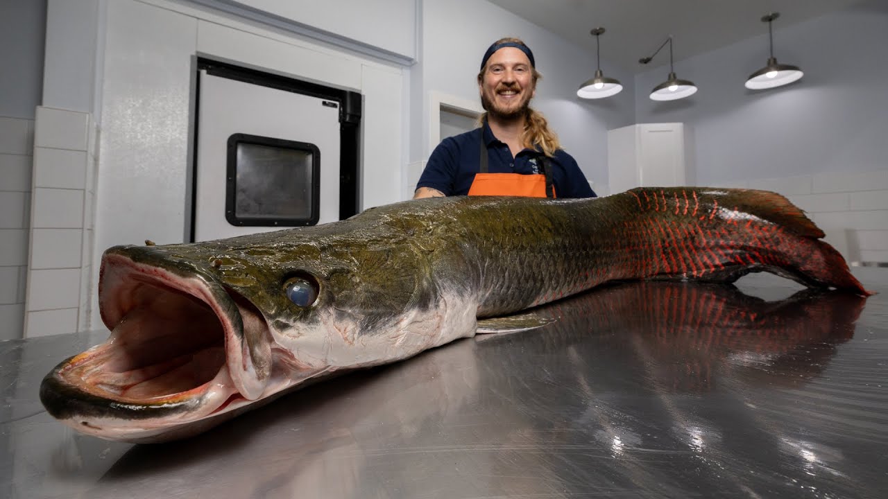 The Biggest River Monster I've Ever Filleted