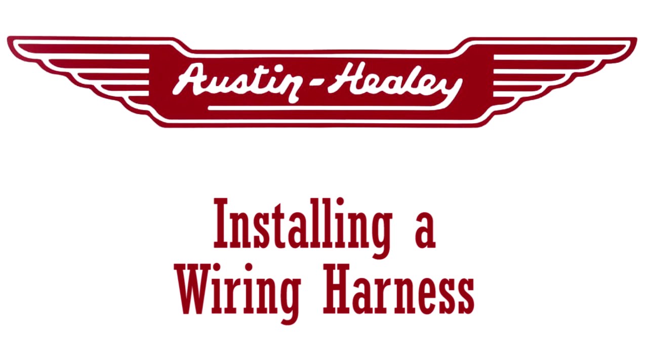 Wiring Loom - Austin Healey Service Manual