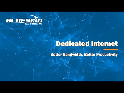 Dedicated Internet Access - Bluebird Network