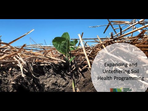 Soil Health Stewards: Expanding and Untethering Soil Health Programming