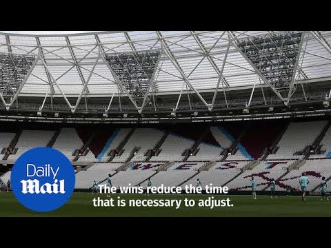 August: Bilic 'London Stadium doesn's feel like home yet' - Daily Mail