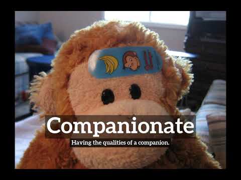 How to Say Companionate in English? | How Does Companionate Look? | What is Companionate?