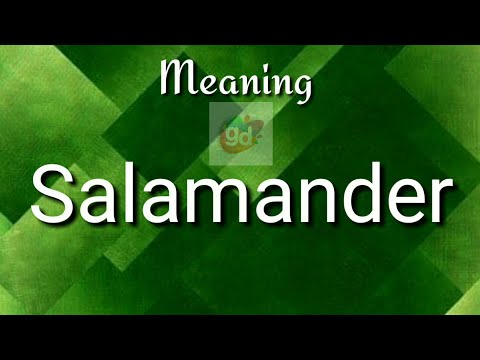 Salamander Meaning with Pronunciation//Googul Dictionary//