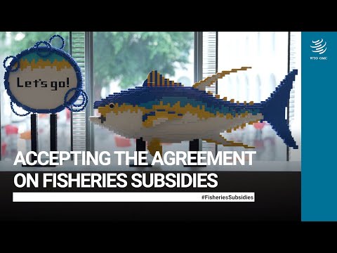 Accepting the Agreement on Fisheries Subsidies
