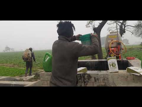 |CROP POTATO|SPRAY|PRODUCT |ARIES AGRO LIMITED| HD 00:00:50-400GM ACRE| AQUACOL-1.5LIT ACRE|