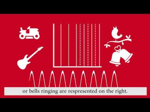 What is an audiogram?