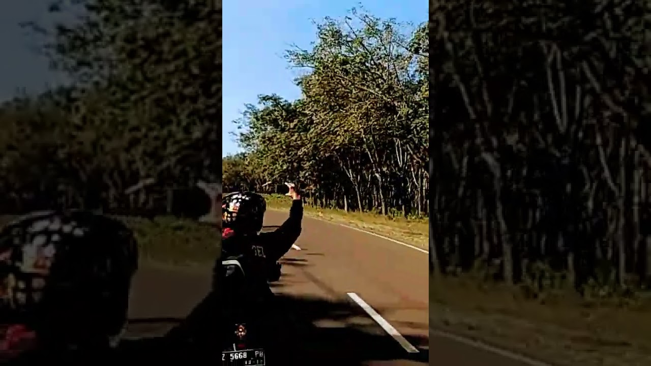 Sancang #shorts #garut