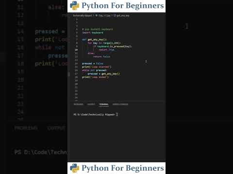 Check For Any Key Input With Python | Python For Beginners