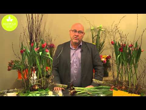 Flower 411: Adding Life to Your Flowers