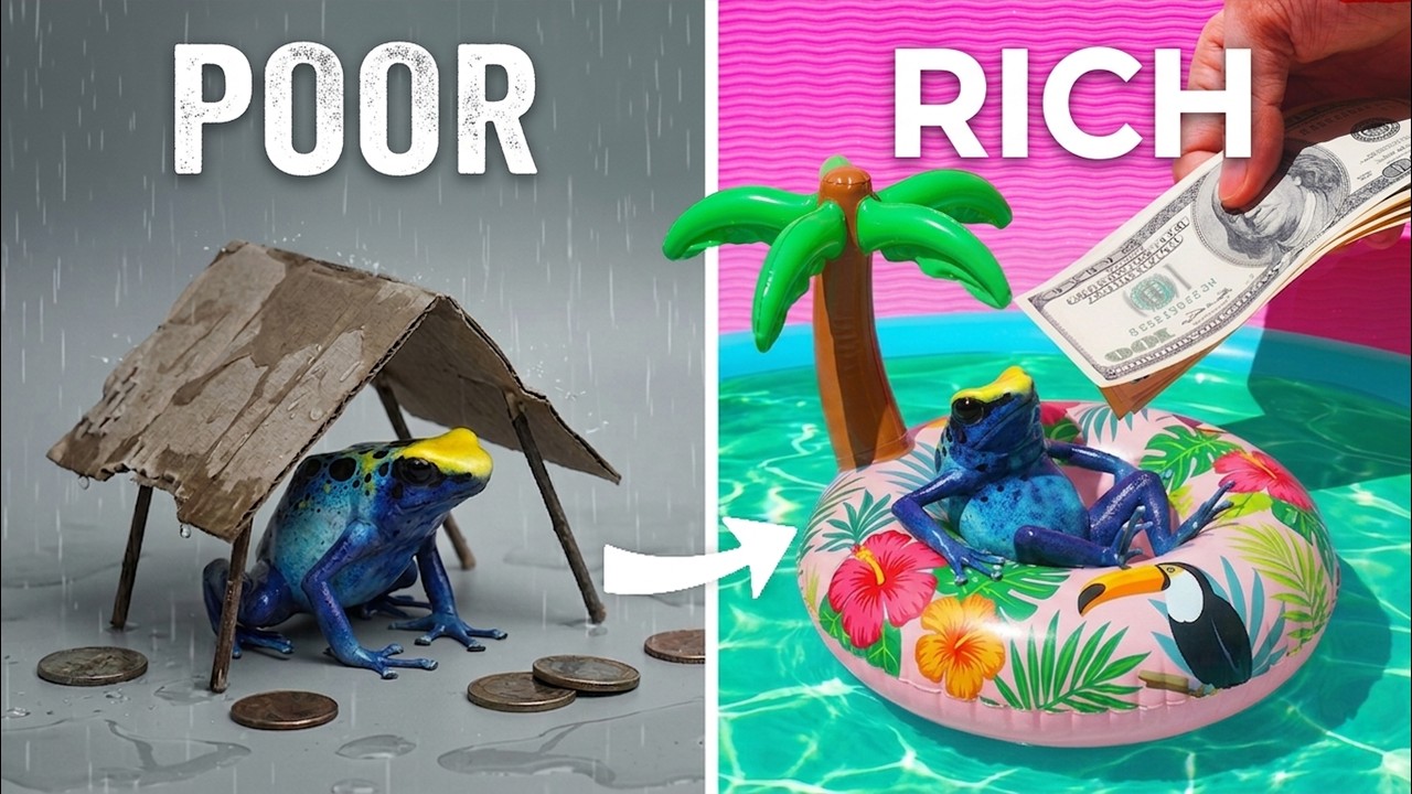 I Gave This Frog $2,000… Then Things Got Weird