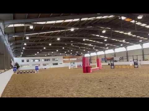 Fantastic pony for sale - ad ref: 247140 video 3