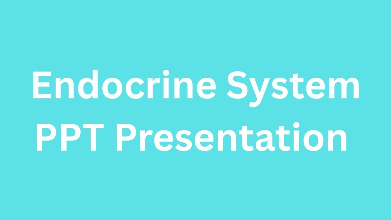 Endocrine System PPT Presentation Seminar Free Download