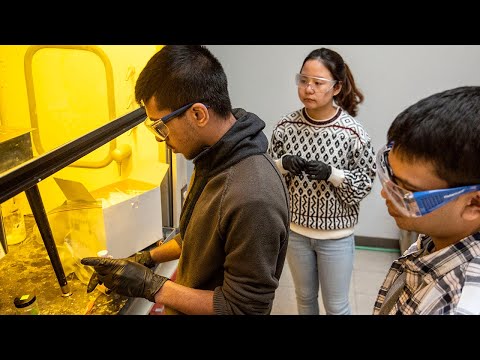 Study Materials Science and Engineering at The Grainger College of Engineering