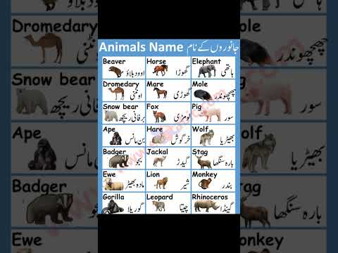Animals Name in english and urdu #shorts #viral