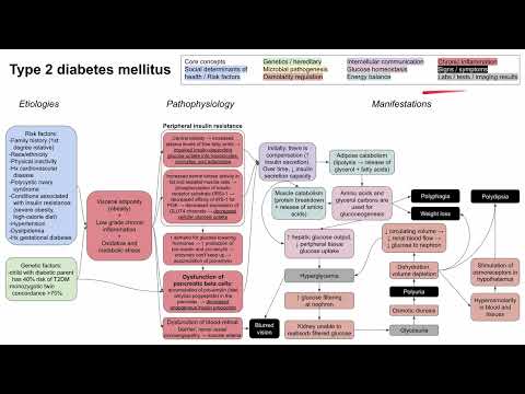 Type 2 diabetes mellitus (mechanism of disease)