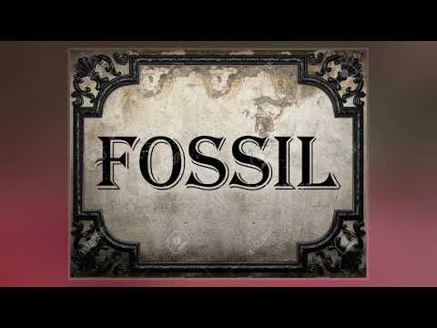 Fossil Word