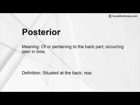 Posterior Meaning