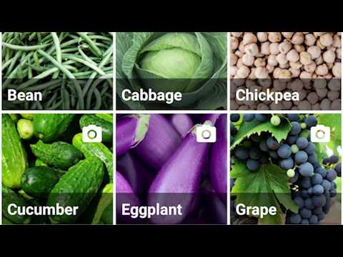 Plantix, a plant disease and diagnostic tool.