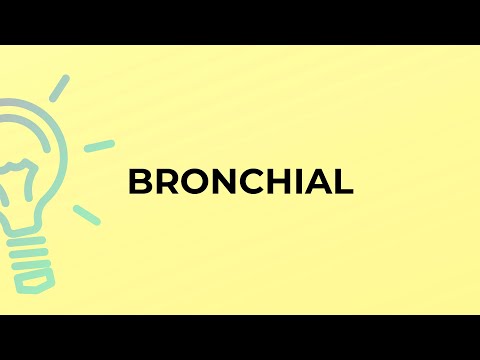 What is the meaning of the word BRONCHIAL?