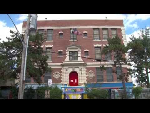 P.S. 119 The Amerfort School