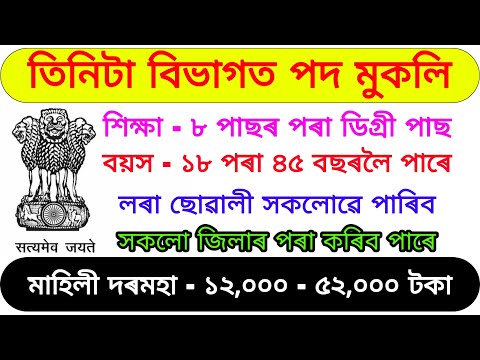 Assam Job // Job In Assam // Assam Career