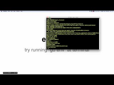 Installing Golang