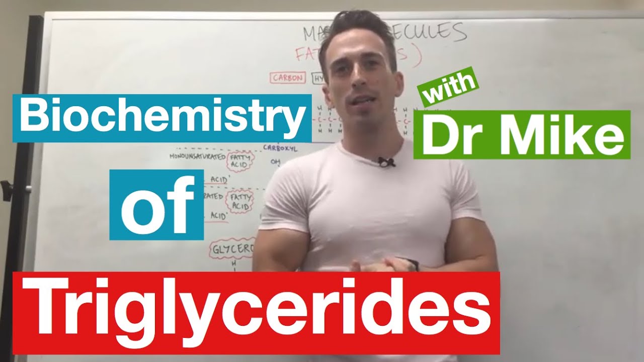 Fatty Acids, Glycerol, and Lipids | Biochemistry