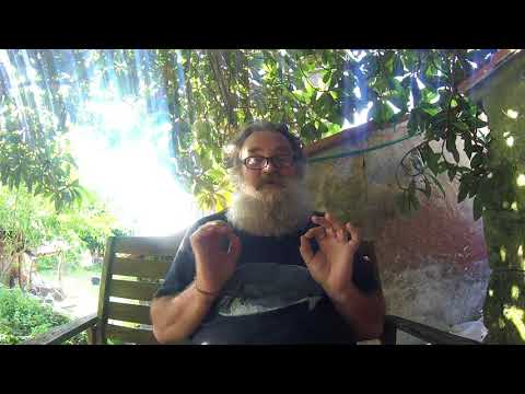 🔵 Pettifog - Pettifogger Meaning - Pettifoggery Examples - Posh English