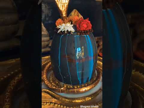manglam bhagwan shambhu |mahadev status|bholenath #bhakti#viral #ytshorts #trending
