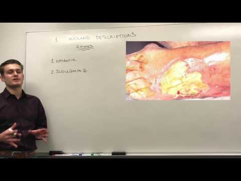 1. Wound Descriptions