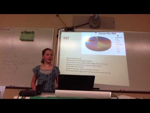 Kami Cole – Fennec Fox – 7th Grade | ECS Junior High Science Class