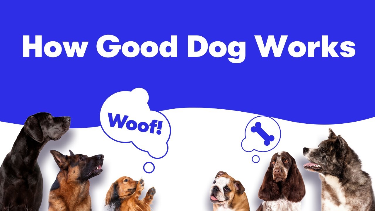 How Good Dog Helps You Find A Puppy From A Reputable Breeder | About Us