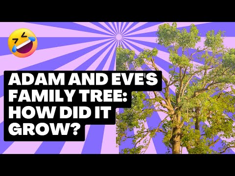 Adam and Eve's Family Tree: How Did It Grow?