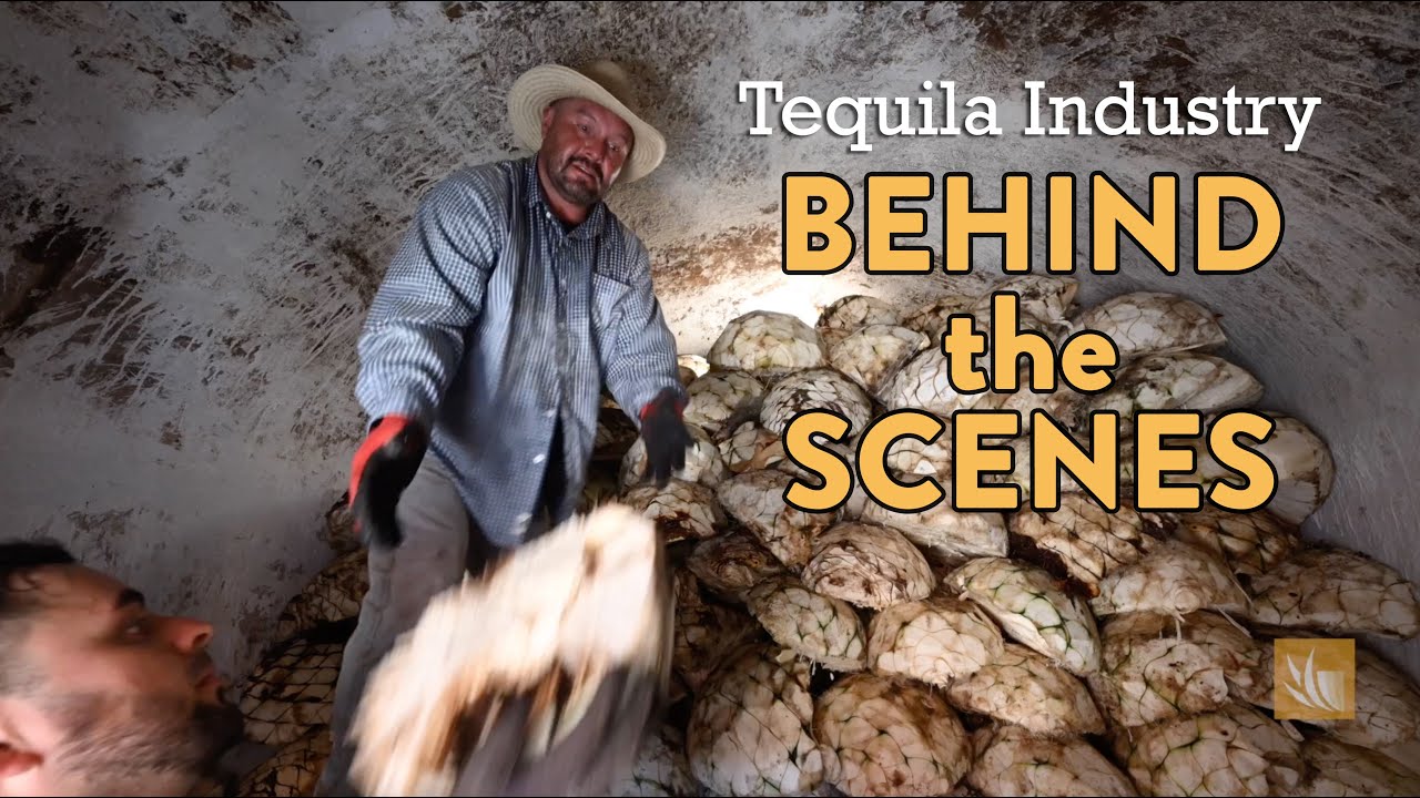 Tequila Industry: Behind the Scenes