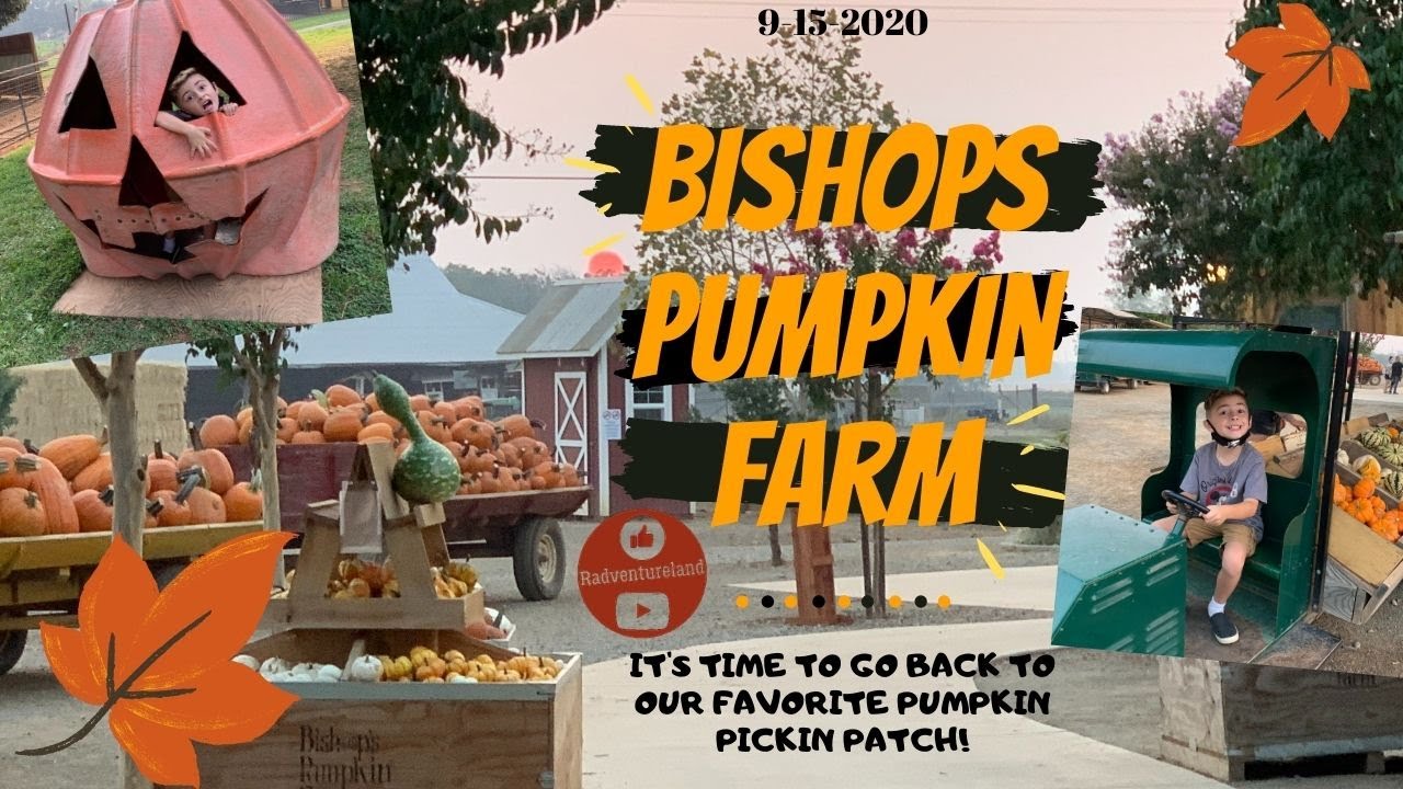 Bishops Pumpkin Farm 2020!