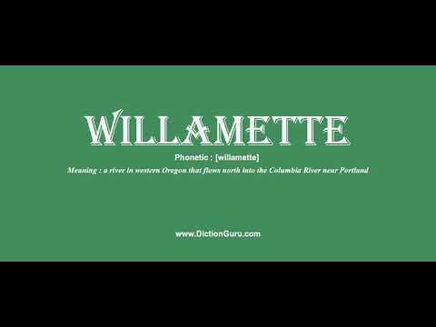 willamette: How to pronounce willamette with Phonetic and Examples