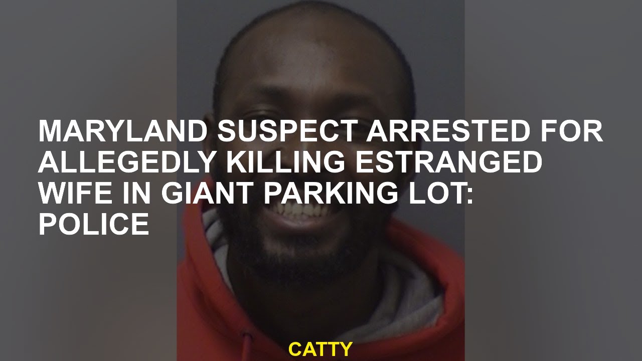 Maryland suspect arrested for allegedly killing estranged wife in Giant parking lot: police