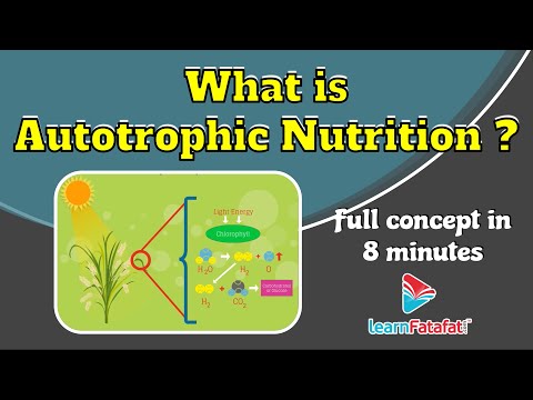 Class 10 Science Life Processes - What is Autotrophic Nutrition? - LearnFatafat