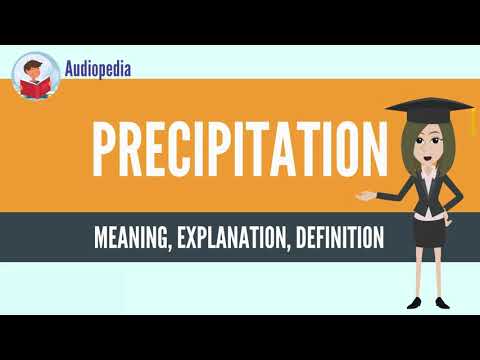 What Is PRECIPITATION? PRECIPITATION Definition & Meaning