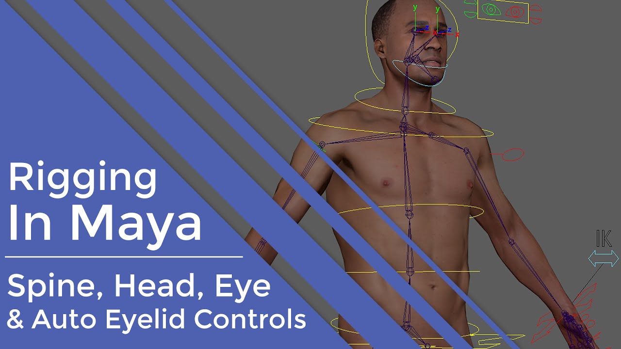 #RiggingInMaya | Part 8 | Basics | Spine, Head, Eye & Eyelids