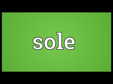 Sole Meaning
