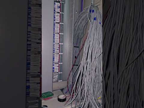 Building management system. DDC panel cable testing #techgulf #electrician #electrical #bms #mcc