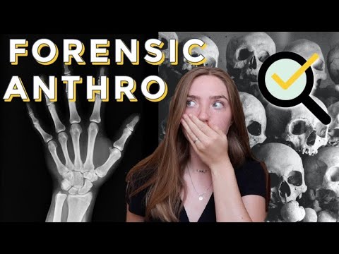 What is FORENSIC ANTHROPOLOGY? Anthropology Student Explains Definition, Jobs, Education + Resources