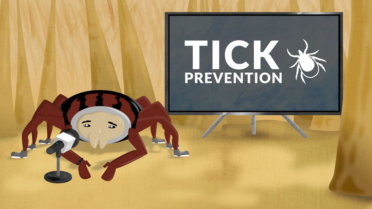 Ticks & Pets 101