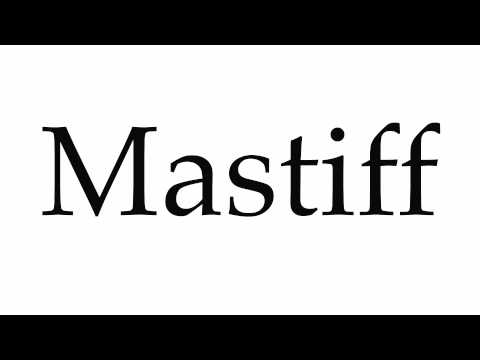 How to Pronounce Mastiff