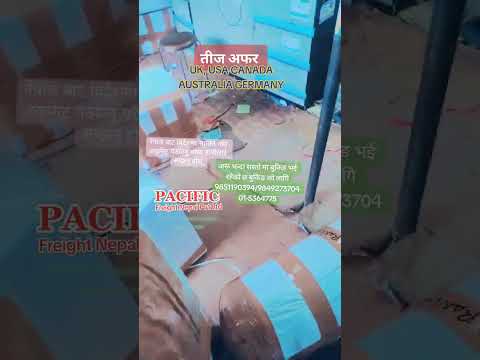 cargo courier service Door delivery online tracking number