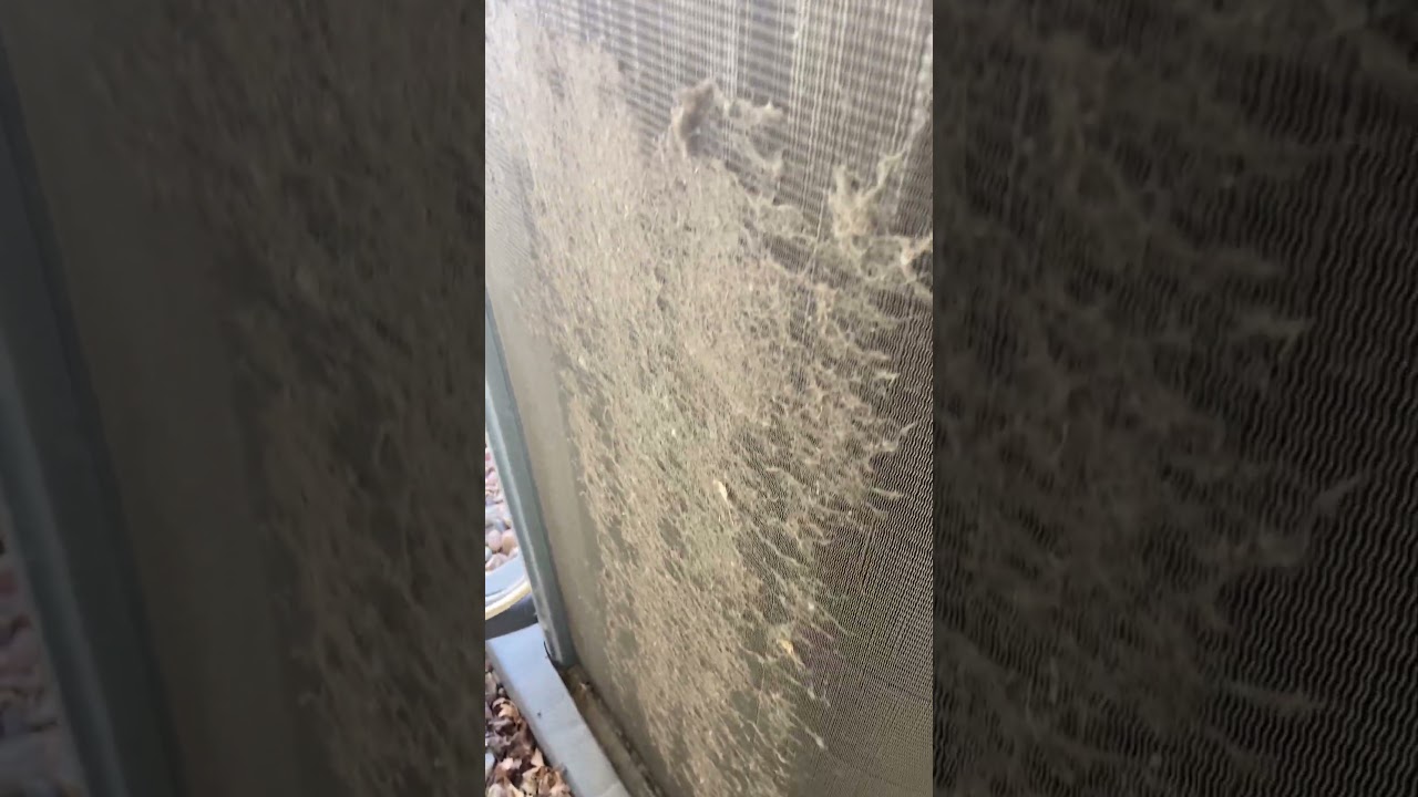 ✅ How to Clean Your AC Condenser for Maximum Cooling | Aurora, CO HVAC Tips